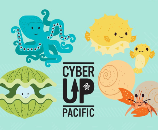 Promoting cyber resilience